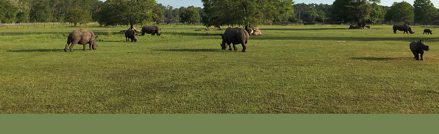 Animals - White Oak Conservation
