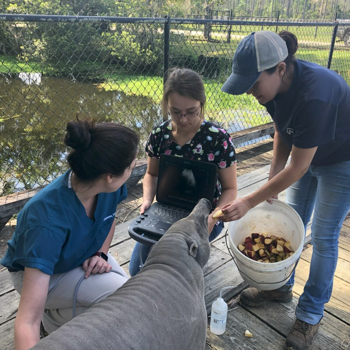 Internships and Residency Programs - White Oak Conservation